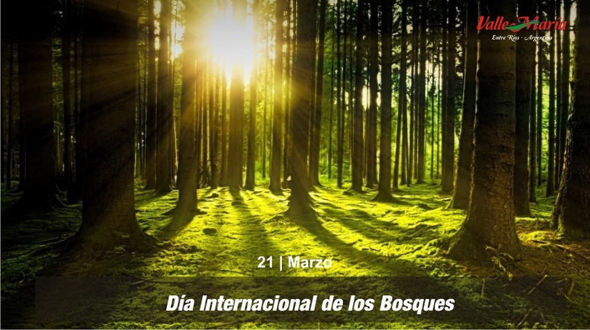 Día Internacional de los Bosques | Municipalidad de Valle María