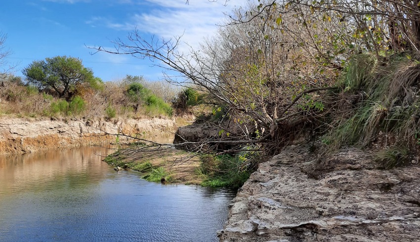 Ecoaldeas Entrerrianas nos recuerda la importancia de cuidar nuestros ...